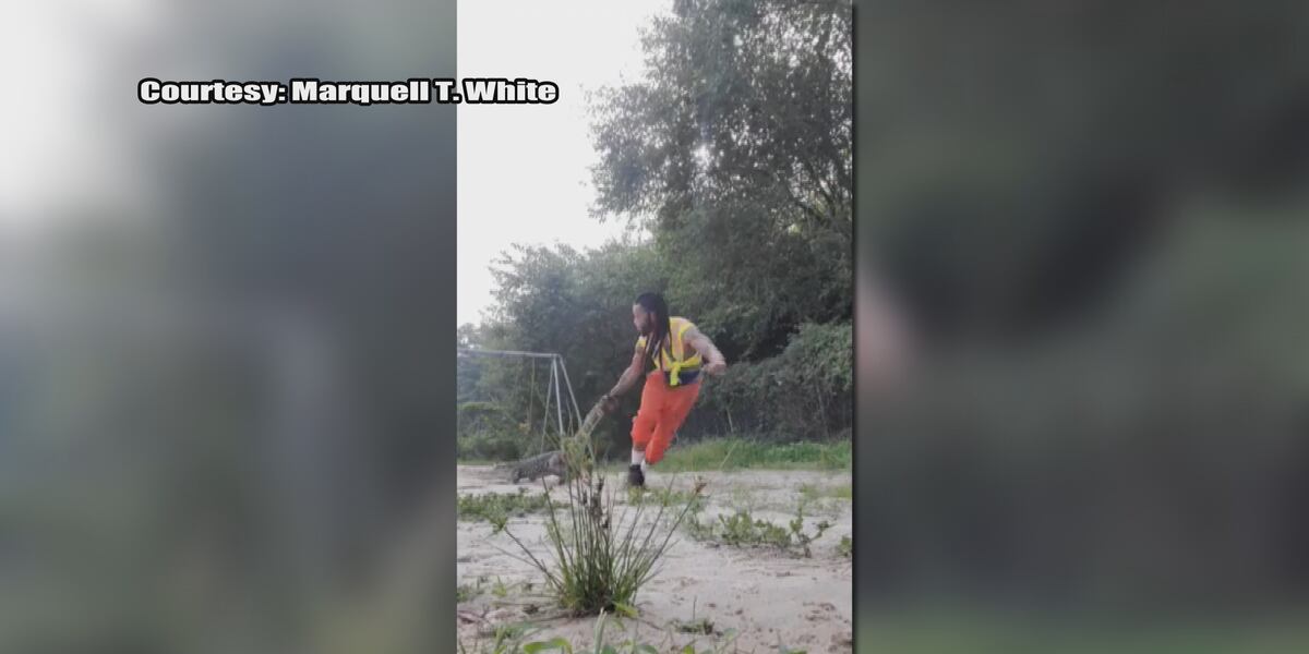 Watch Man Catches Alligator With His Bare Hands